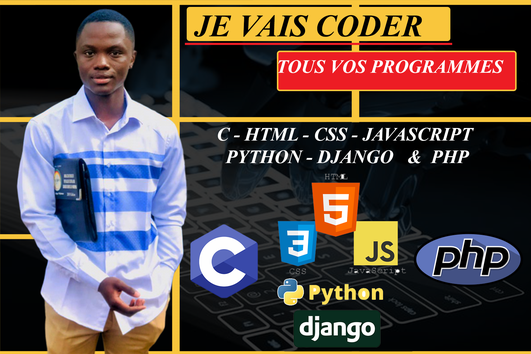Je Vais R Aliser Vos Sites Web En Html Css Javascript Python Django