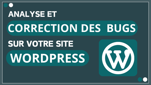 Je Vais Analyser Identifier Et Corriger Les Bugs Et Erreurs Sur Votre