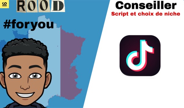 Je vais vous proposez des idées de niche et des scripts pour débuter