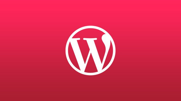 Je Vais Corriger Vos Erreurs Bugs Sur Votre Site WordPress Par CamilleSt