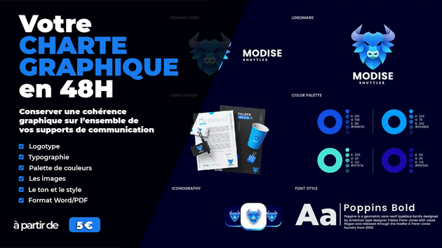 Je vais créer votre charte graphique ou faire la refonte de votre