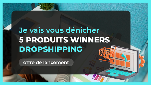 Je vais vous dénicher 5 produits winners à vendre en drop shipping par ...