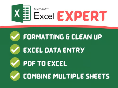 I will input your data into Excel and various databases by safdarr55