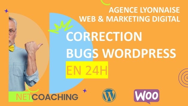 Je vais corriger rapidement des bugs sur WordPress et Woocommerce par ...