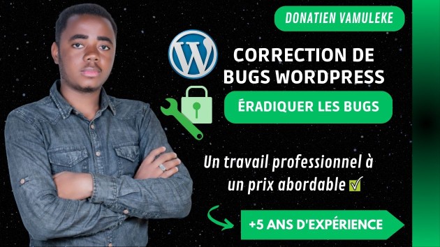 Je vais corriger les bugs ou problèmes WordPress rapidement par DonatienPro
