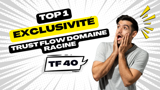 Je vais booster votre Trust Flow à TF40 sur l'intégralité du Domaine Racine de votre site web ...