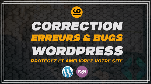 Je vais corriger les bugs, les problèmes et les erreurs de votre site WordPress par HappyCode