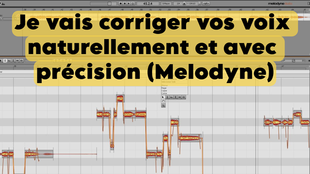 Je vais corriger votre voix naturellement et avec précision en ...