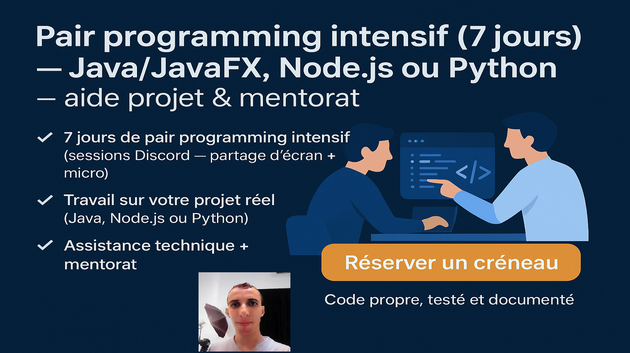 Je vais Pair programming intensif (7 jours) Java/JavaFX, Node.js ou Python aide projet ...