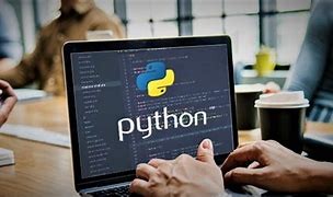 I will develop high performance custom web applications using python ...