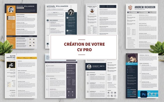 Je vais créer un CV au design moderne et adapté à votre profil par fauston