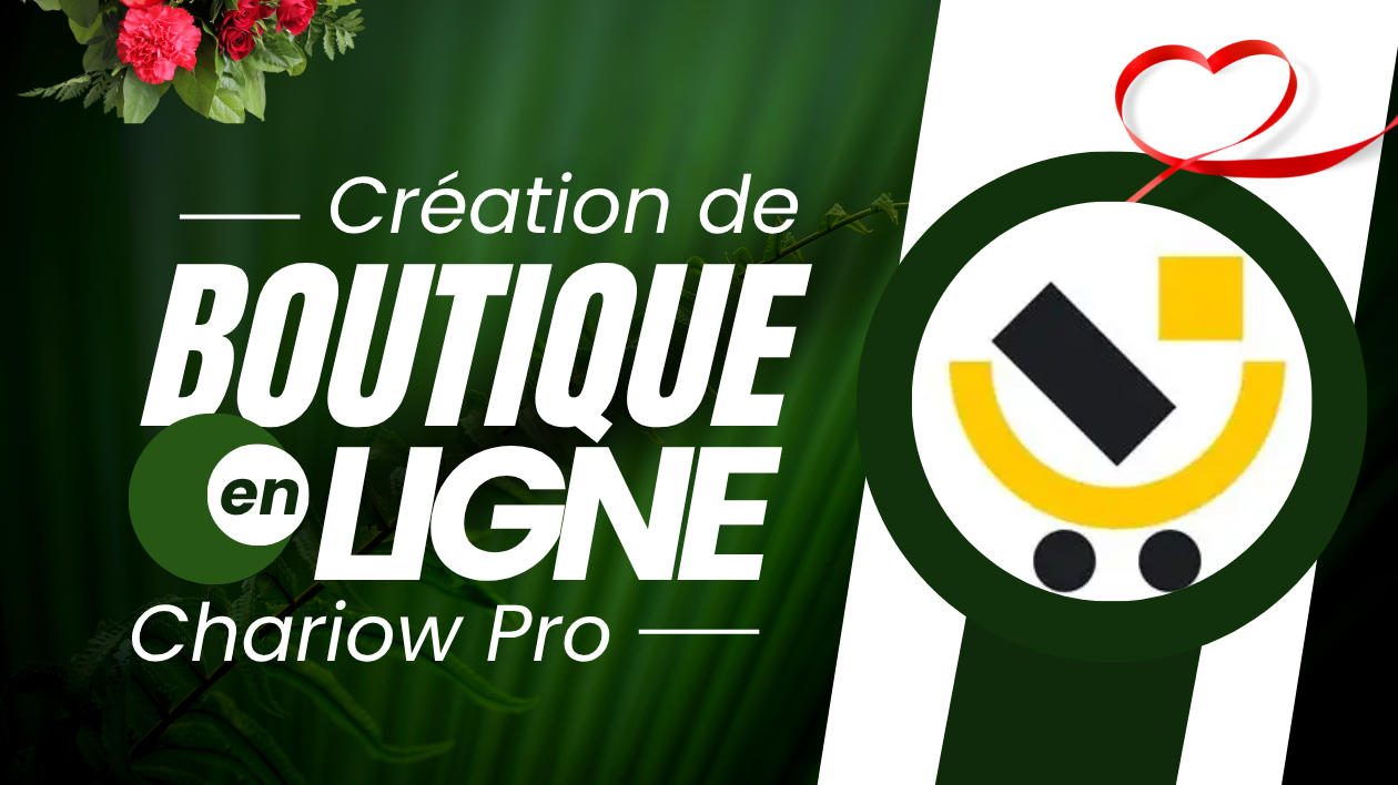 Je vais concevoir ou créer votre boutique Pro Chariow clé en main par ...