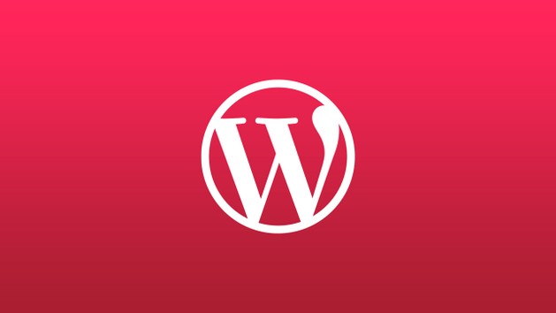 Je vais corriger vos erreurs / bugs sur votre site WordPress par CamilleSt