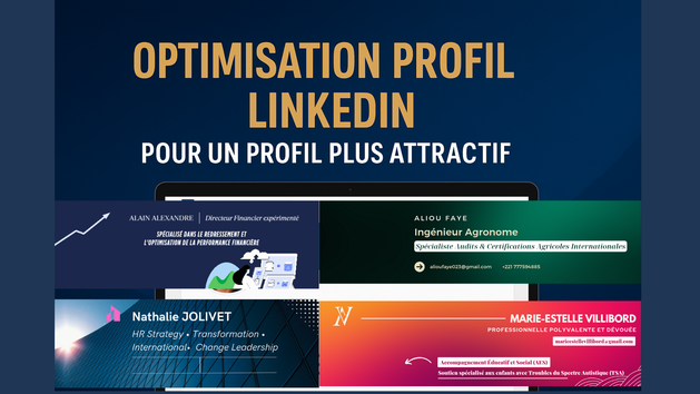 Je vais optimiser votre profil linkedin par sergiociccone