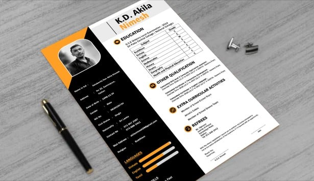 I will create your cv professionally by CredoLYZ