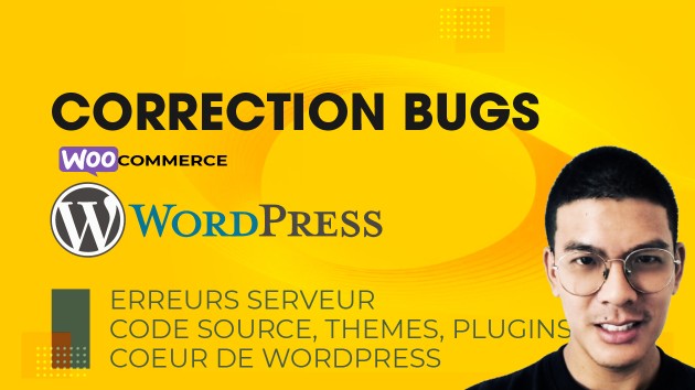 Je vais fixer / corriger / réparer un bug dans votre site Wordpress par Yoann_Webemize