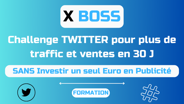 Je vais fournir une formation sur X de Twitter pour générez des ventes ...