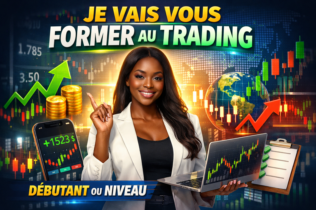 Je vais vous former au trading que vous soyez débutant ou à un niveau ...
