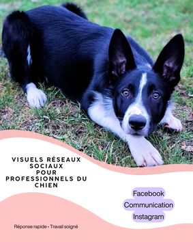 Je vais crée un post réseaux sociaux pour les professionnels du monde ...