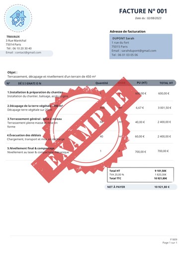 Je vais créé vos devis et factures professionnels et personnalisés par ...