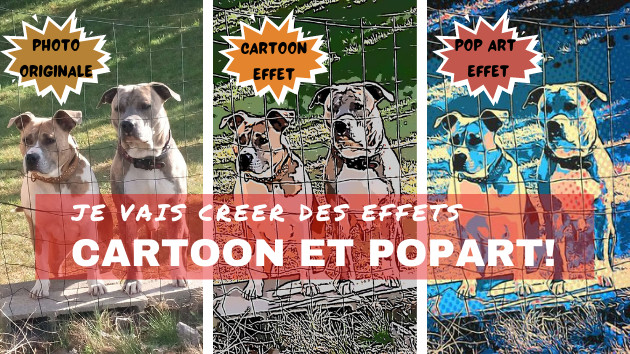 Je vais transformer vos photos en effet CARTOON et/ou en POPART par ...