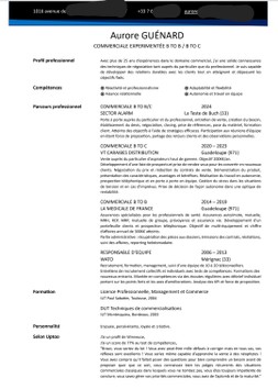 Je vais rendre votre CV et votre lettre de motivation attractifs pour l'employeur par GUENARD_AURORE