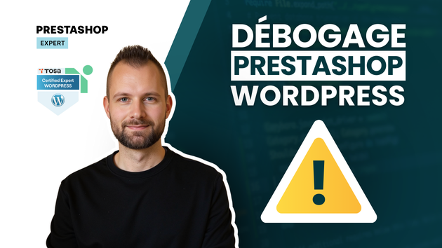 Je vais corriger / réparer un bug sur votre site web par Bertrand_Domat