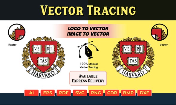I will vectorize image or convert logo to vector in ai, pdf, svg, cdr ...