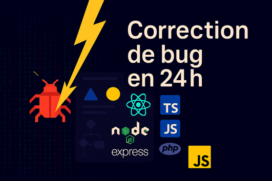 Je vais corriger un bug sur votre site ou application web en 48h par Ryan_1337