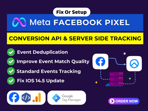 I will setup and fix Facebook Meta Pixel Conversion API CAPI Server Side Tracking with GTM and ...
