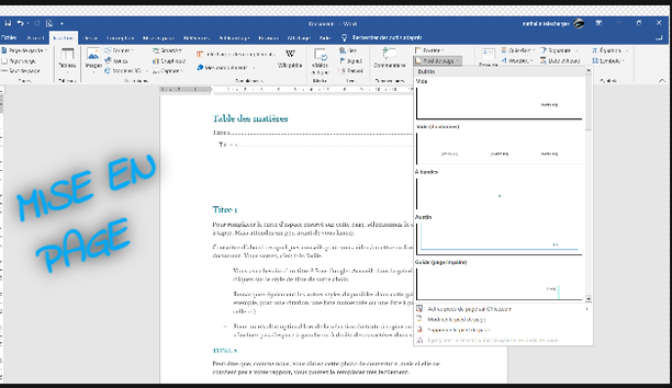 Je vais réaliser la mise en page en page de vos documents word par Erica_AV