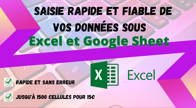Je vais vous aider à saisir vos données sous Excel et Google Sheet par ...