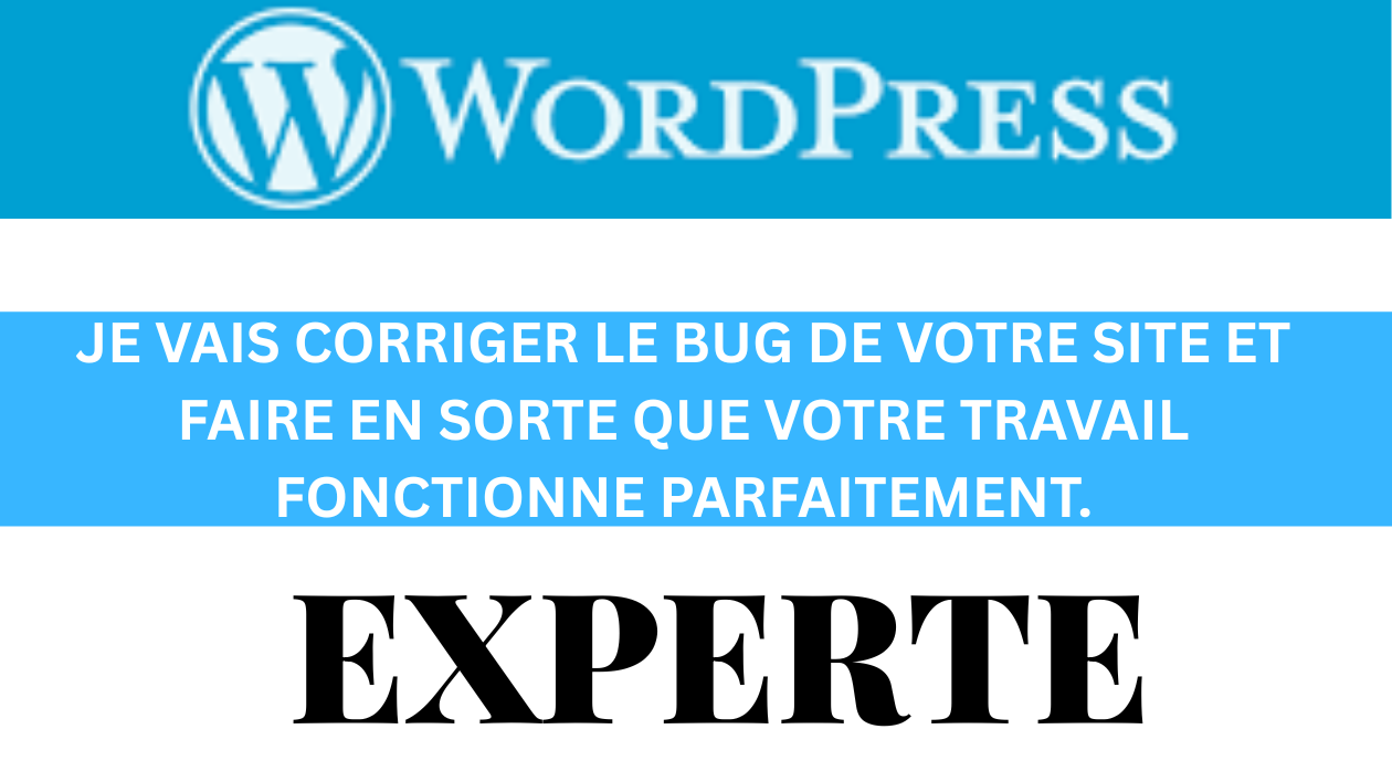Je vais corriger une erreur ou un bug sur votre site WordPress par Wix_Guru