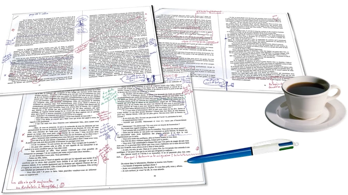 Je vais corriger et optimiser vos textes par AliciaSitkiewicz1