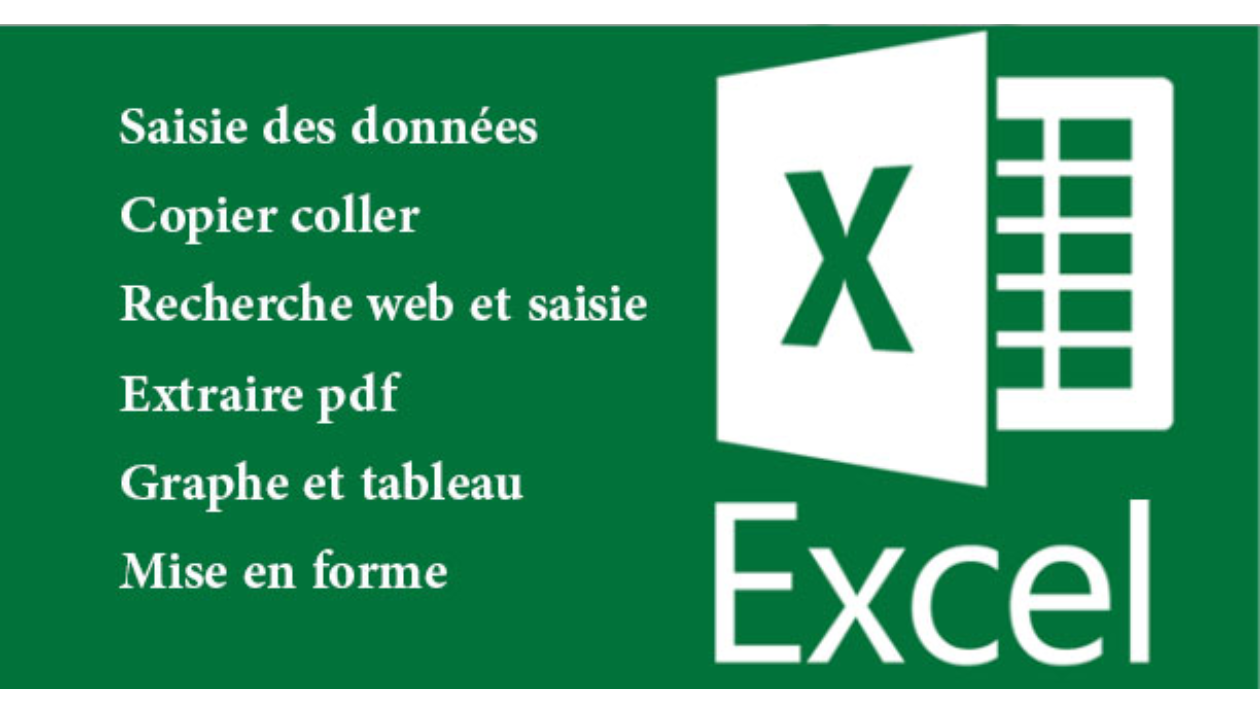 Je vais traiter et saisir vos données dans excel par raissa_schella