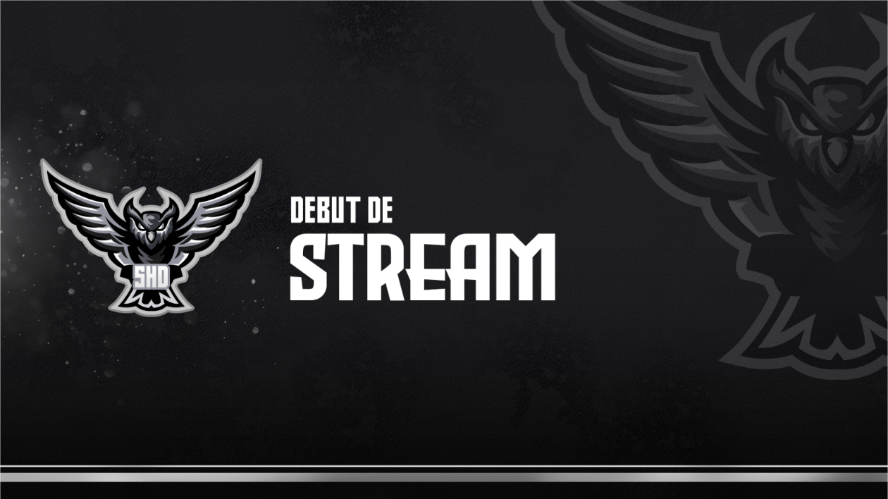 Je vais créer votre pack overlay twitch pour votre chaîne twitch par ...