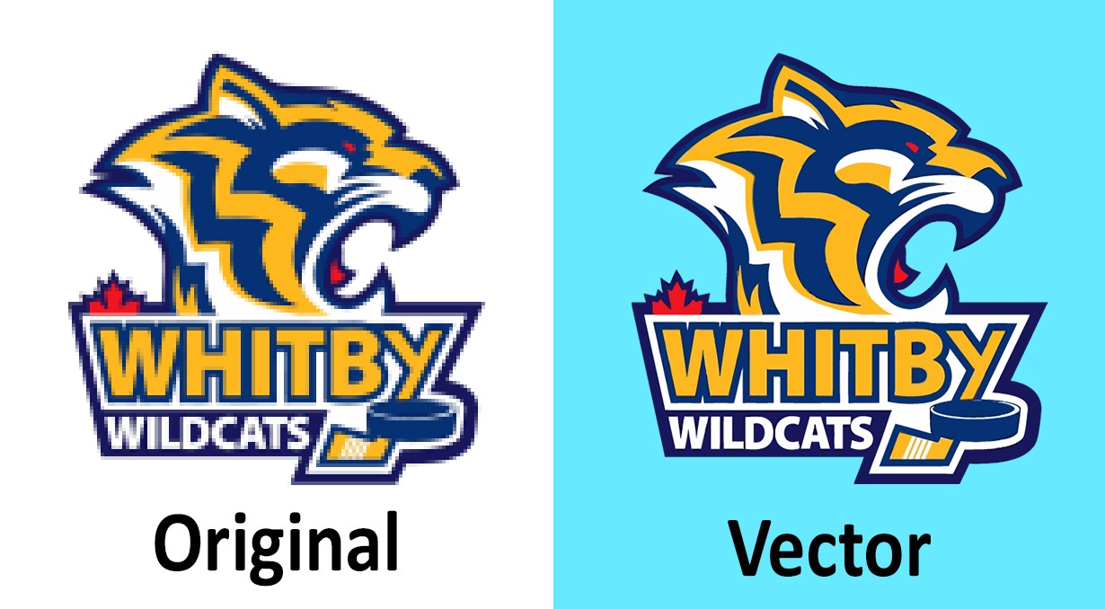 Je vais vectoriser, redessiner, convertir en vectoriel votre logo ou ...