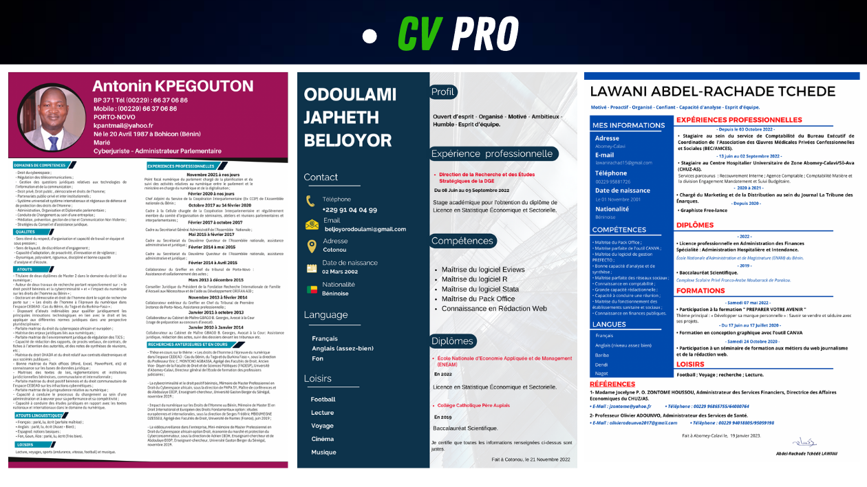 Je vais réaliser la mise en page de votre CV par Lawani_