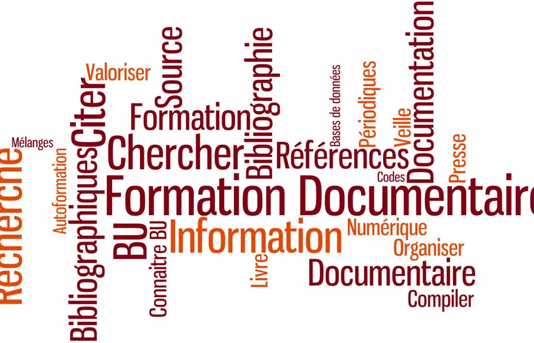 Je vais effectuer la recherche documentaire & synthèse documentaire de vos documents, thèses ...