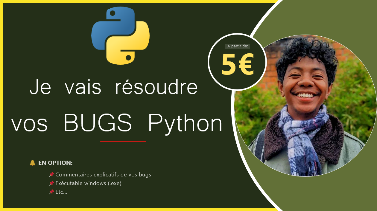 Je Vais Résoudre Vos Bugs Python Rapidement Et Efficacement Par Dinohsandys 