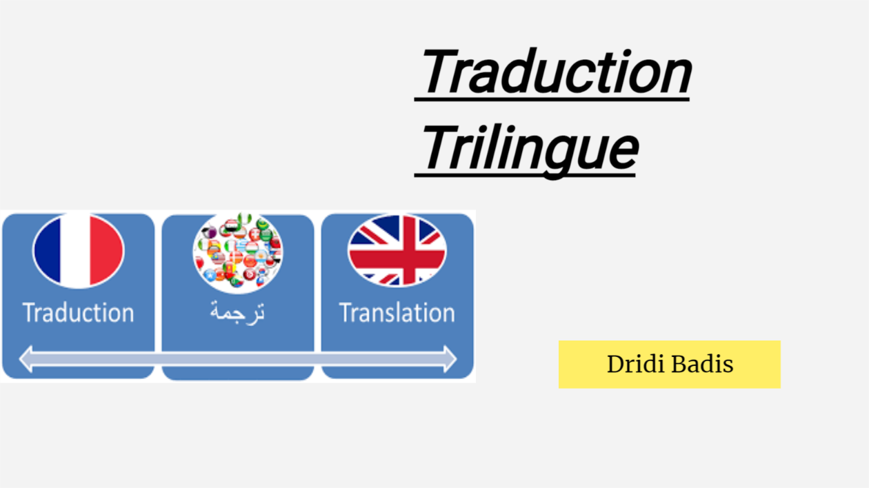 Je vais réaliser votre taduction, français/anglais , français/arabe ...