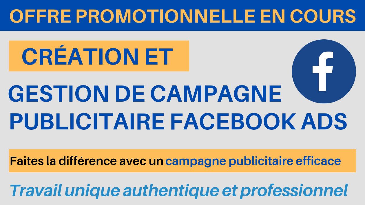 Je vais créer et gérer efficacement votre campagne publicitaire Facebook ADS par Expert_Coin