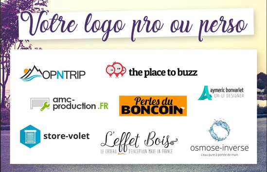 Je vais créer votre logo pro ou perso par Wolf4ayms