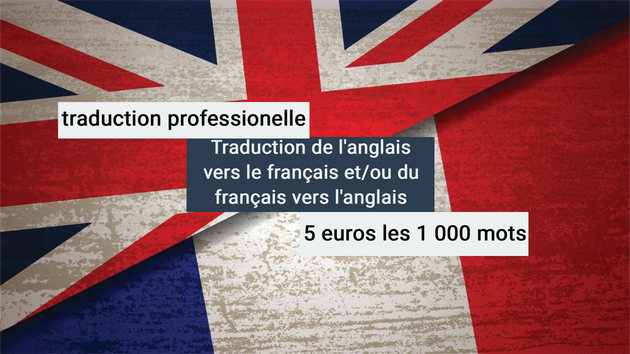 Je vais traduire tous vos documents/textes de l'anglais vers le ...