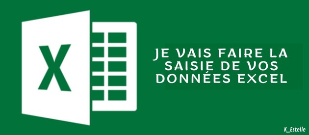 Je vais saisir vos données dans Excel par K_Estelle