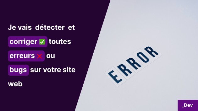 Je Vais Détecter Et Corriger Toutes Erreurs Ou Bugs Présents Sur Votre Site Web Par Dev