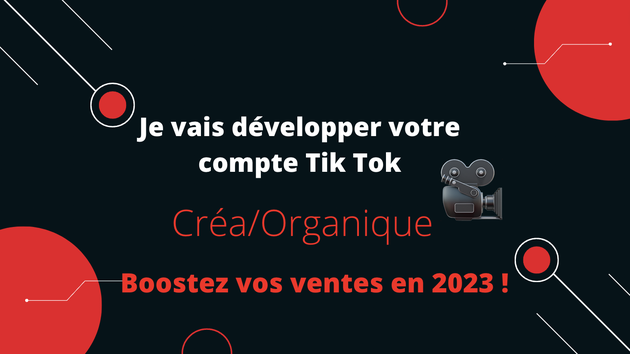 Je vais développer votre compte Tik Tok par raf_alm