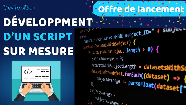 Je vais développer un script sur mesure en JavaScript par DevToolBox