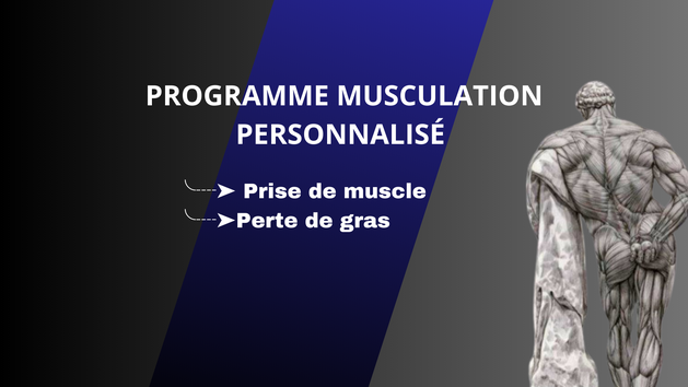 Je vais vous confectionner un programme de musculation personnalisé par AntoineSgr