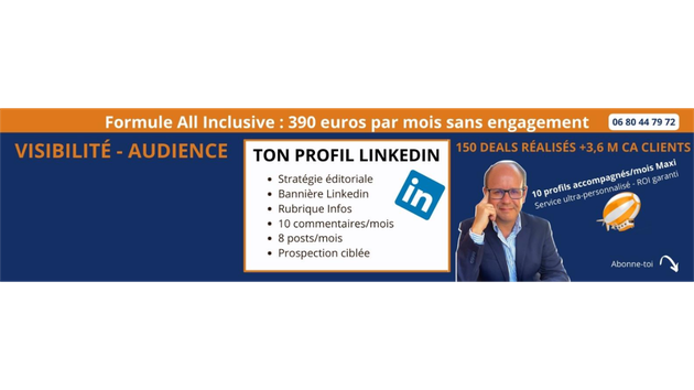 Je vais réaliser une bannière Linkedin professionnelle par AnnickVivicorsi